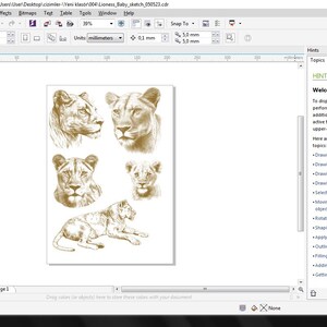 Digital Printer Lioness - 3D Liones Laser Templates, Files, Patterns ...