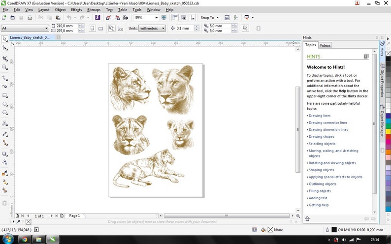 Digital Printer Lioness - 3D Liones Laser Templates, Files, Patterns ...