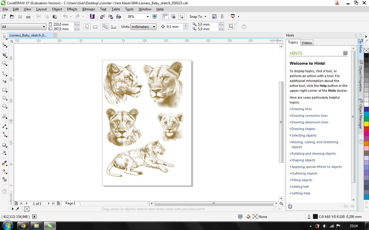 Digital Printer Lioness - 3D Liones Laser Templates, Files, Patterns ...