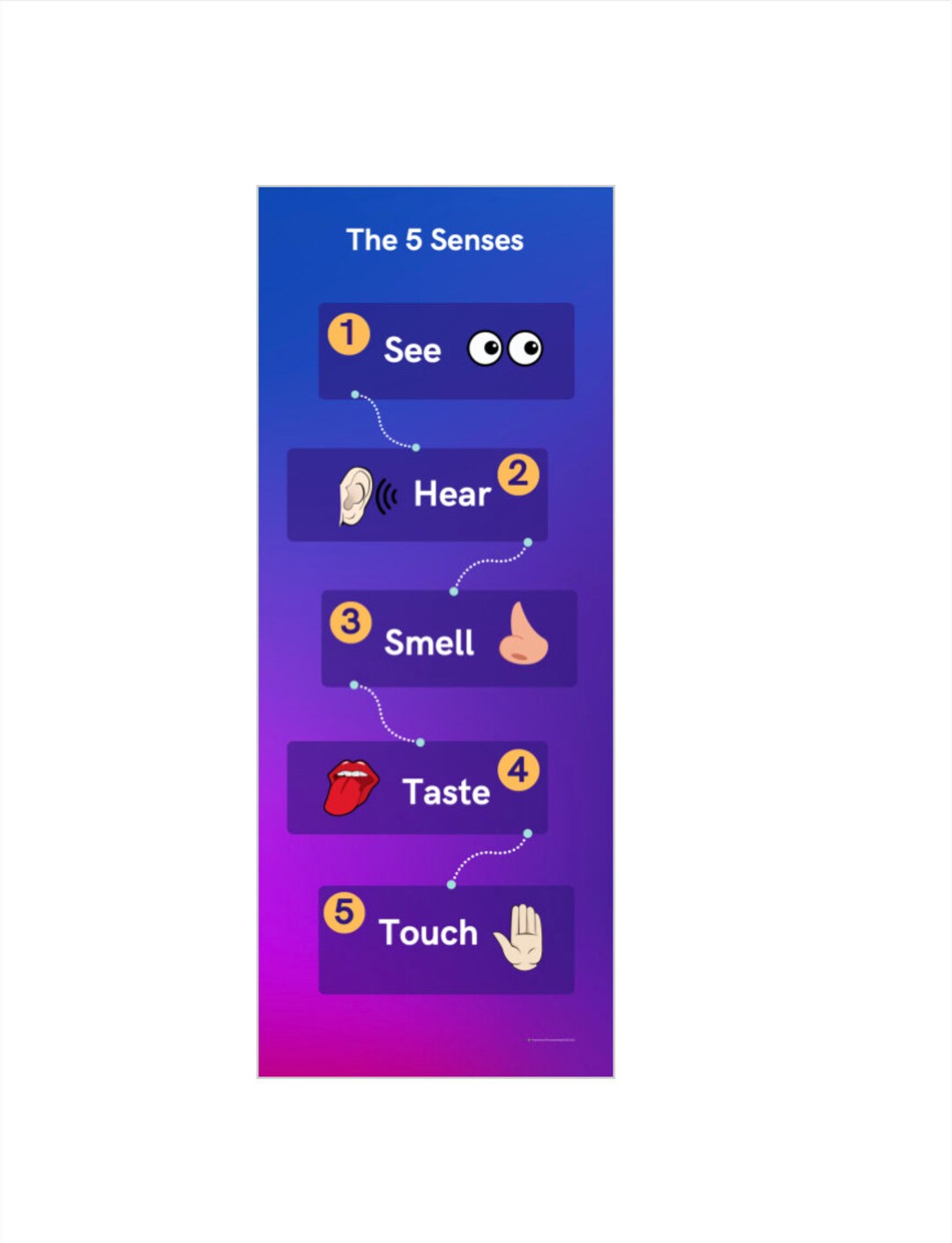 5 Senses, Infographic, Poster, Printable, PDF, Digital Download ...