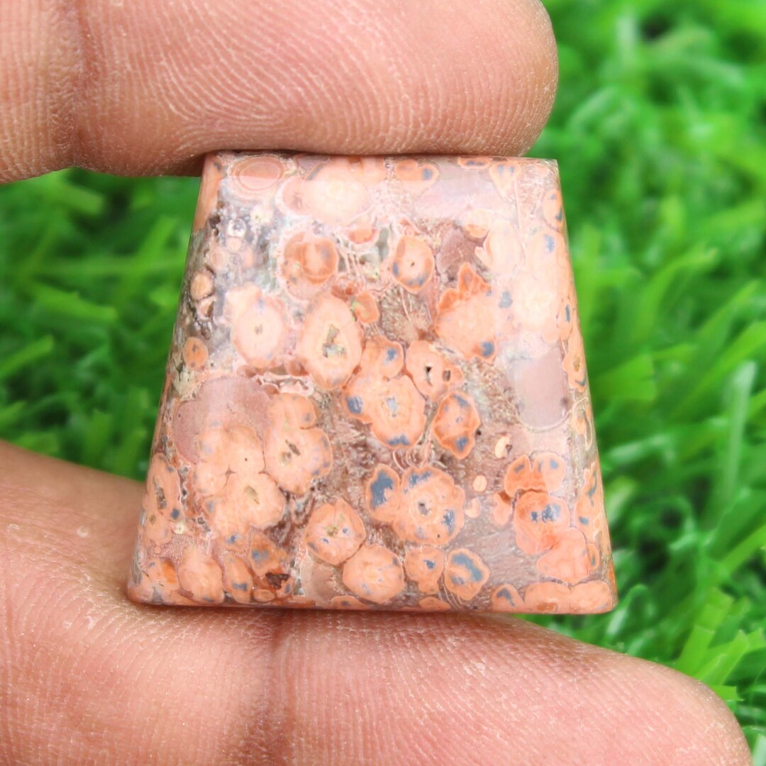 Natural Leopard Skin Jasper Cabochon Skin Jasper Gemstone - Etsy