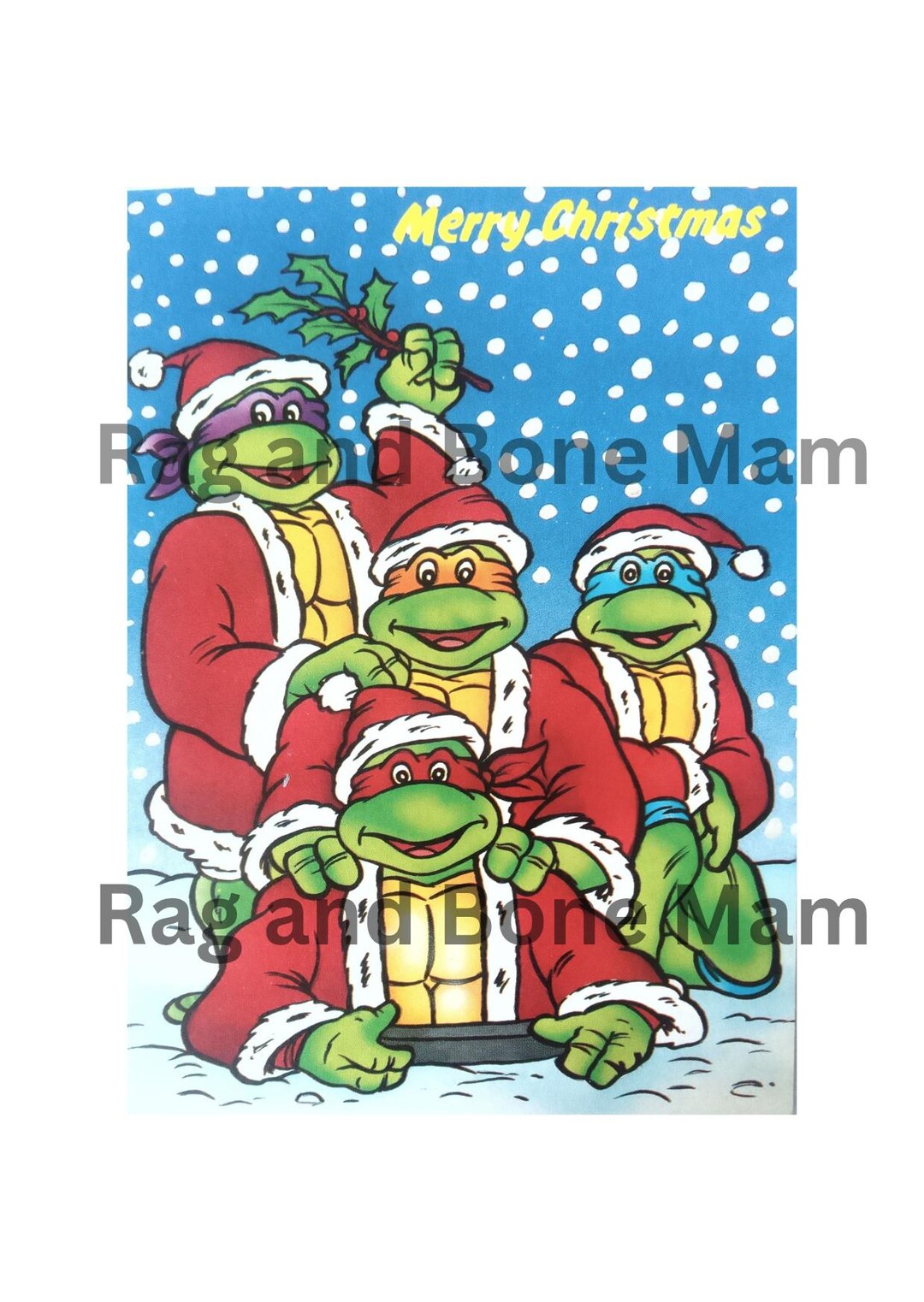 Vintage 1980's Teenage Mutant Ninja Turtles Christmas Card Gift Cards ...