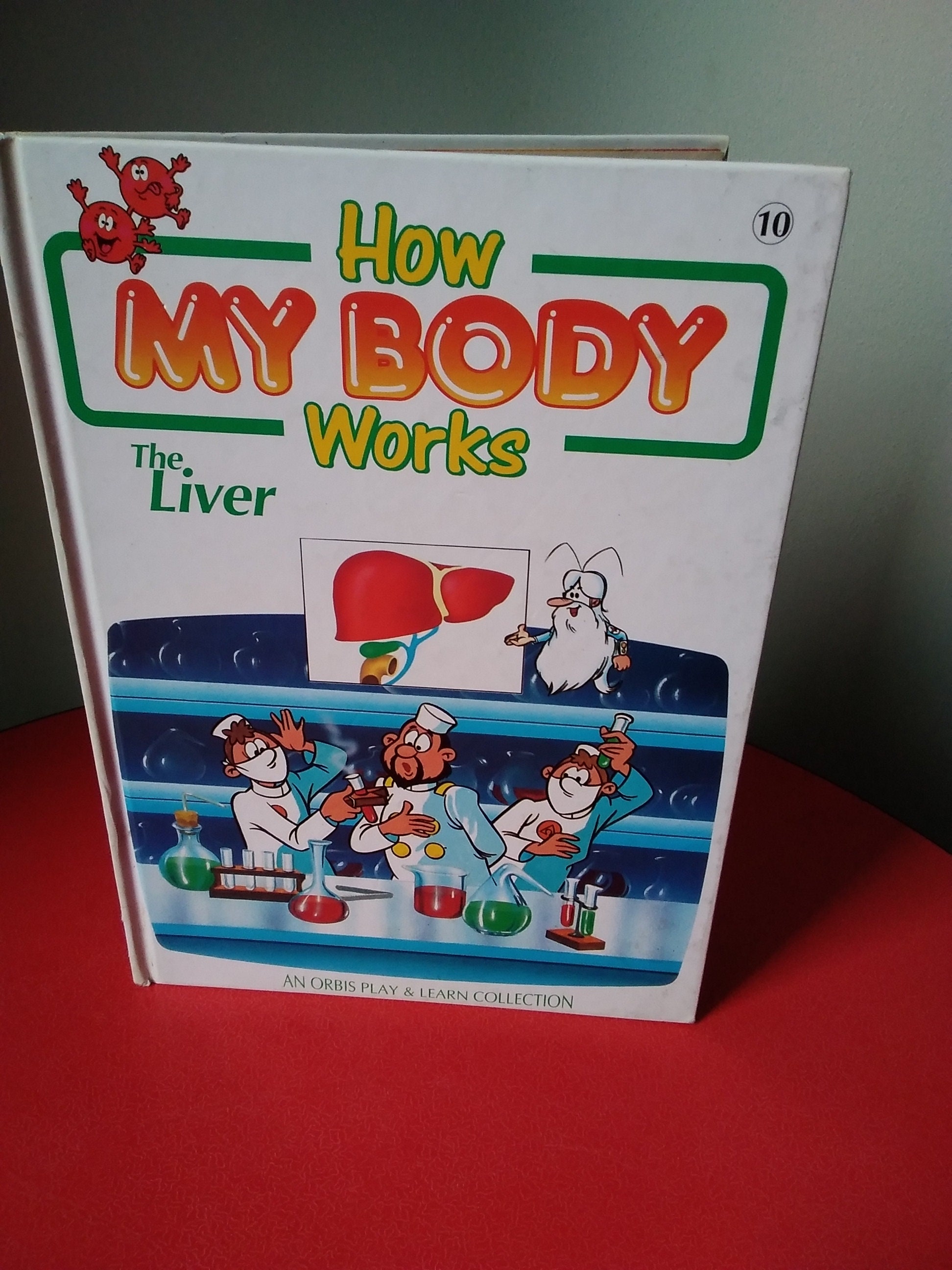 How My Body Works: the Liver - Vintage 1996 Medical Book - Etsy UK