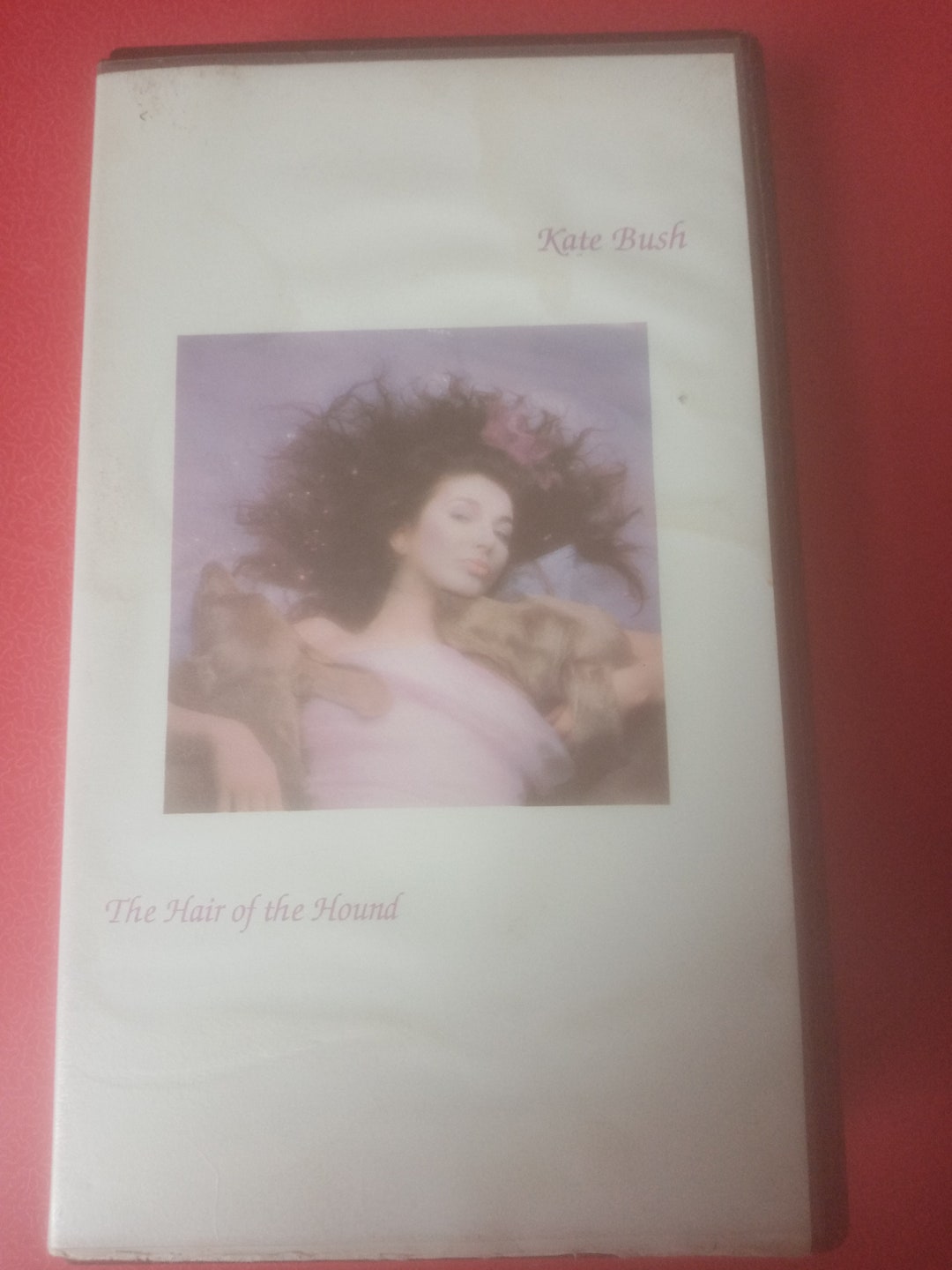 Vintage Kate Bush the Hair of the Hound VSH Video, Hounds of Love ...