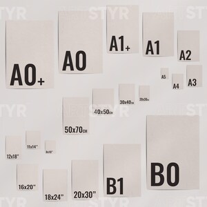 Pokémon Pokéball Collection Chart white Premium Wall Art Poster Ready ...