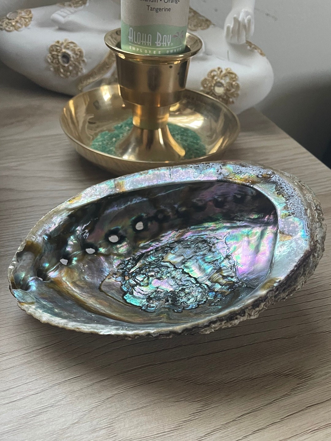 Large, Natural Abalone Shells - Etsy