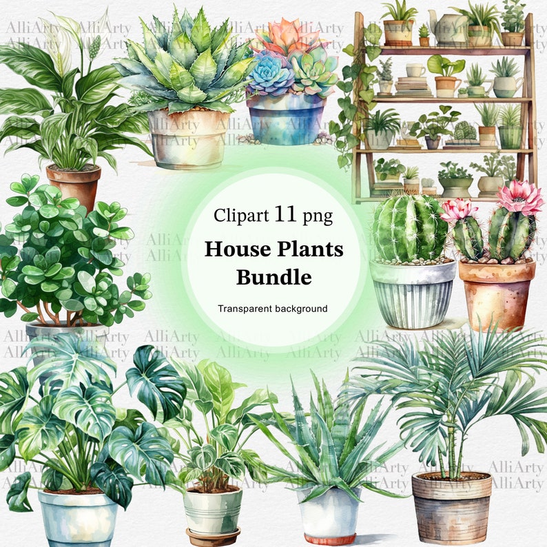 Watercolor House Plants Clipart, 11 PNG Files, Instant Download Potted ...