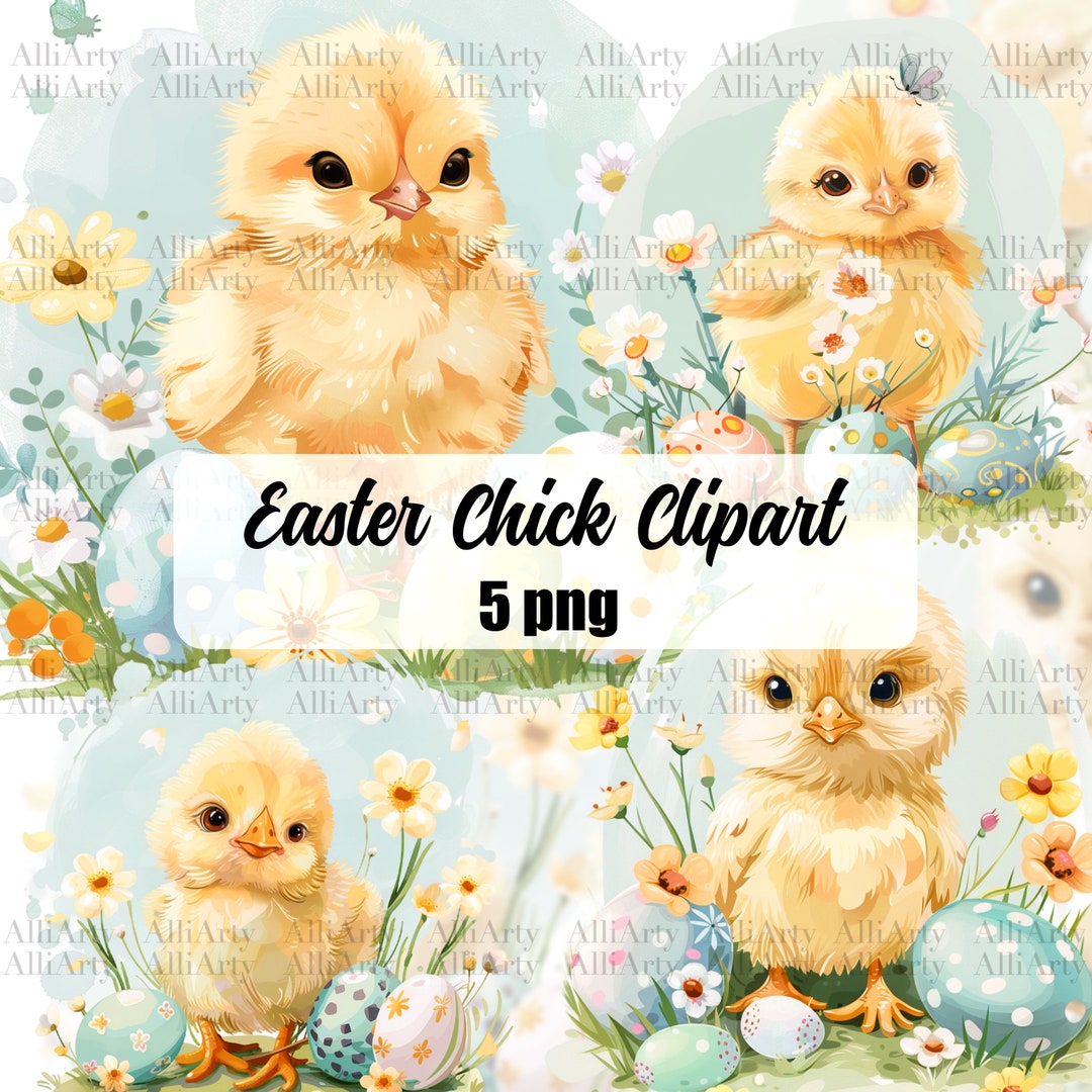 Easter Baby Chick Clipart 5 Png, Easter Chicken Bundle, Easter Graphics ...