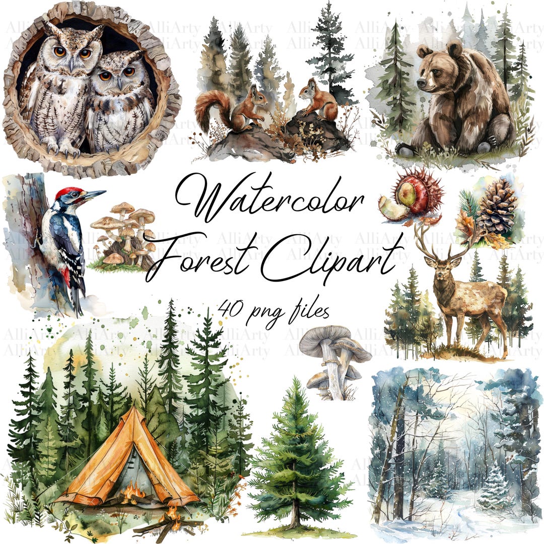 Watercolor Forest Clipart, 40 PNG Files, Instant Download Forest Nature ...