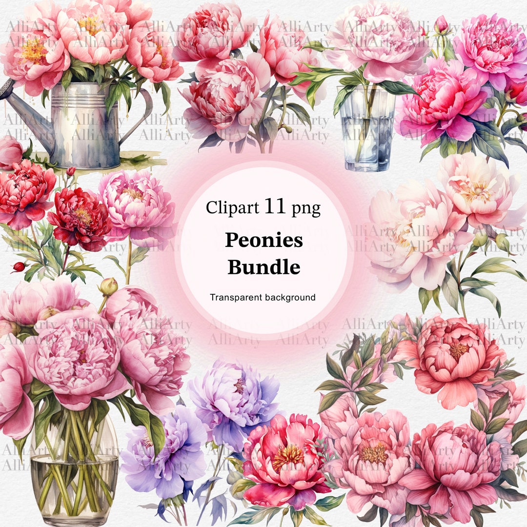 Watercolor Peonies Clipart, 11 PNG Files, Instant Download Pink White ...
