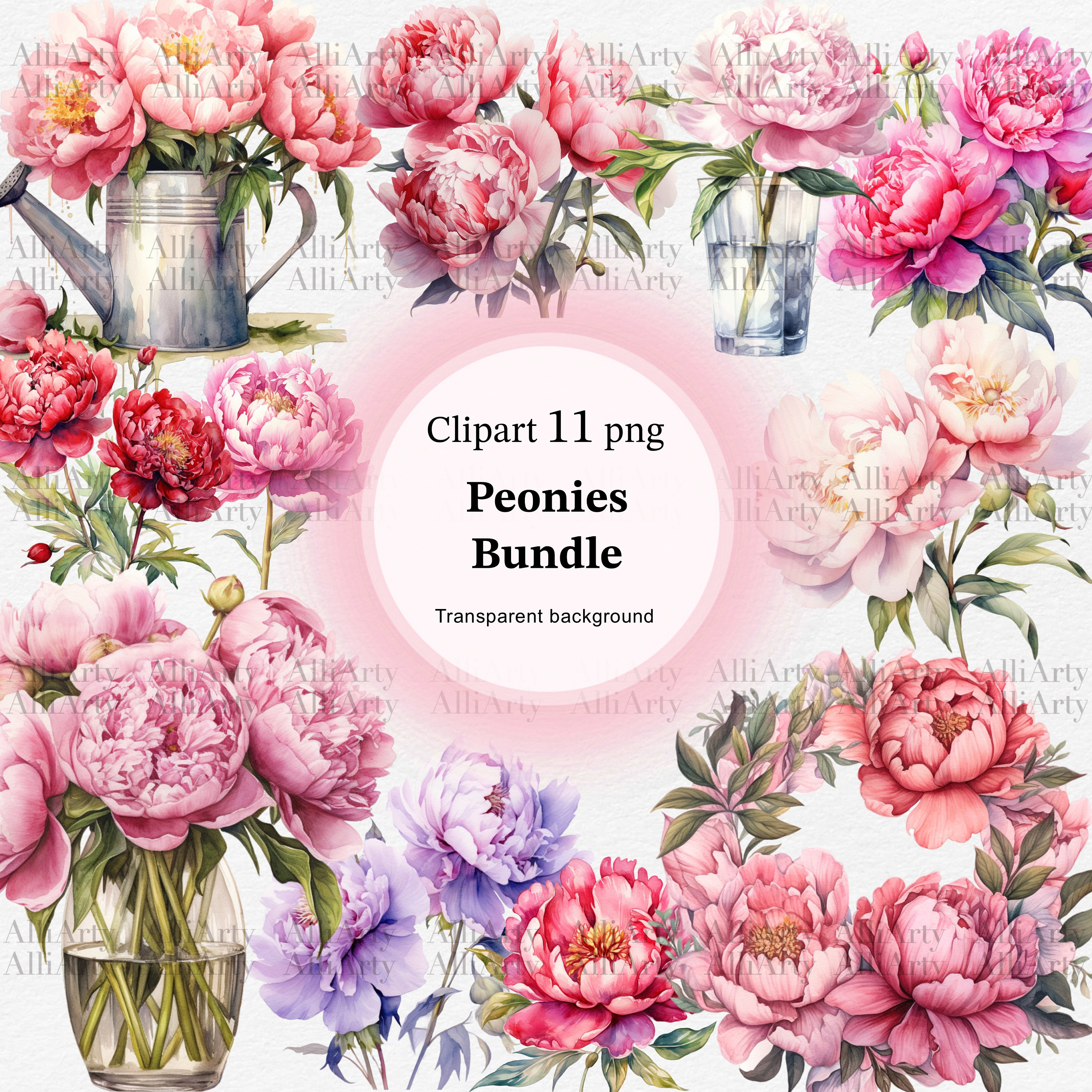 Watercolor Peonies Clipart, 11 PNG Files, Instant Download Pink White ...