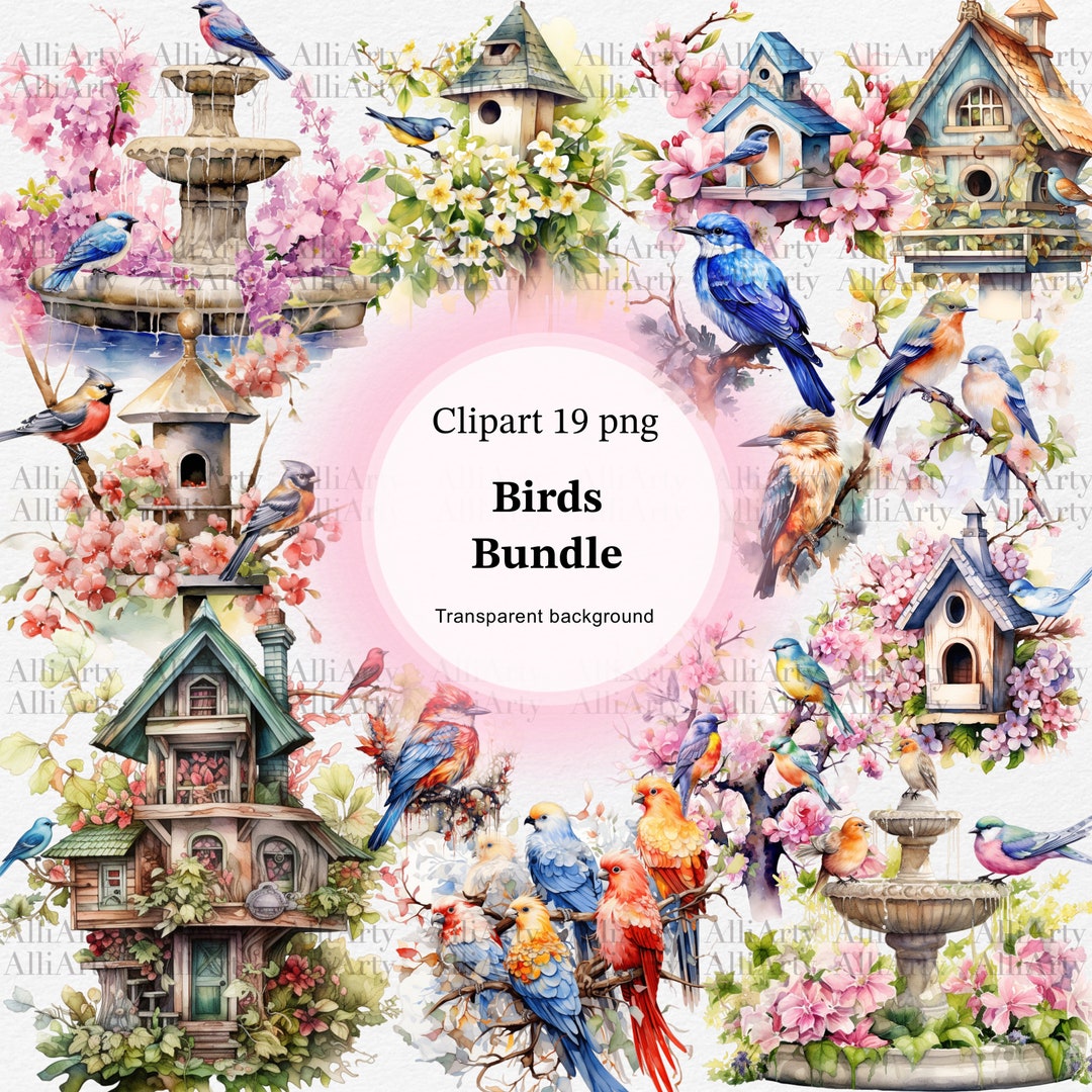 Pastel Watercolor Birds Clipart, 19 PNG Files, Instant Download ...