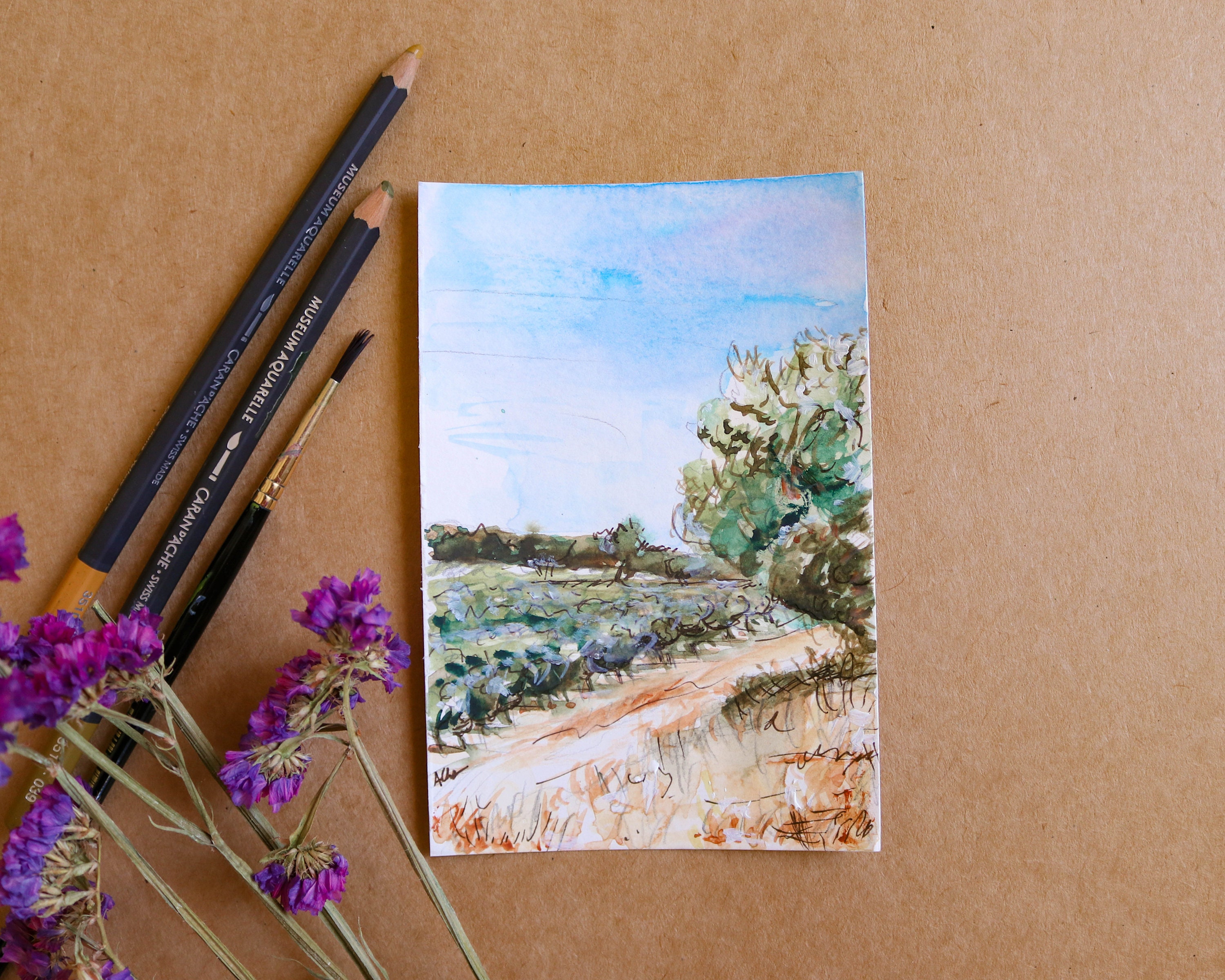 South of France Vineyards of Cassis, Watercolor France Postcard Size ...