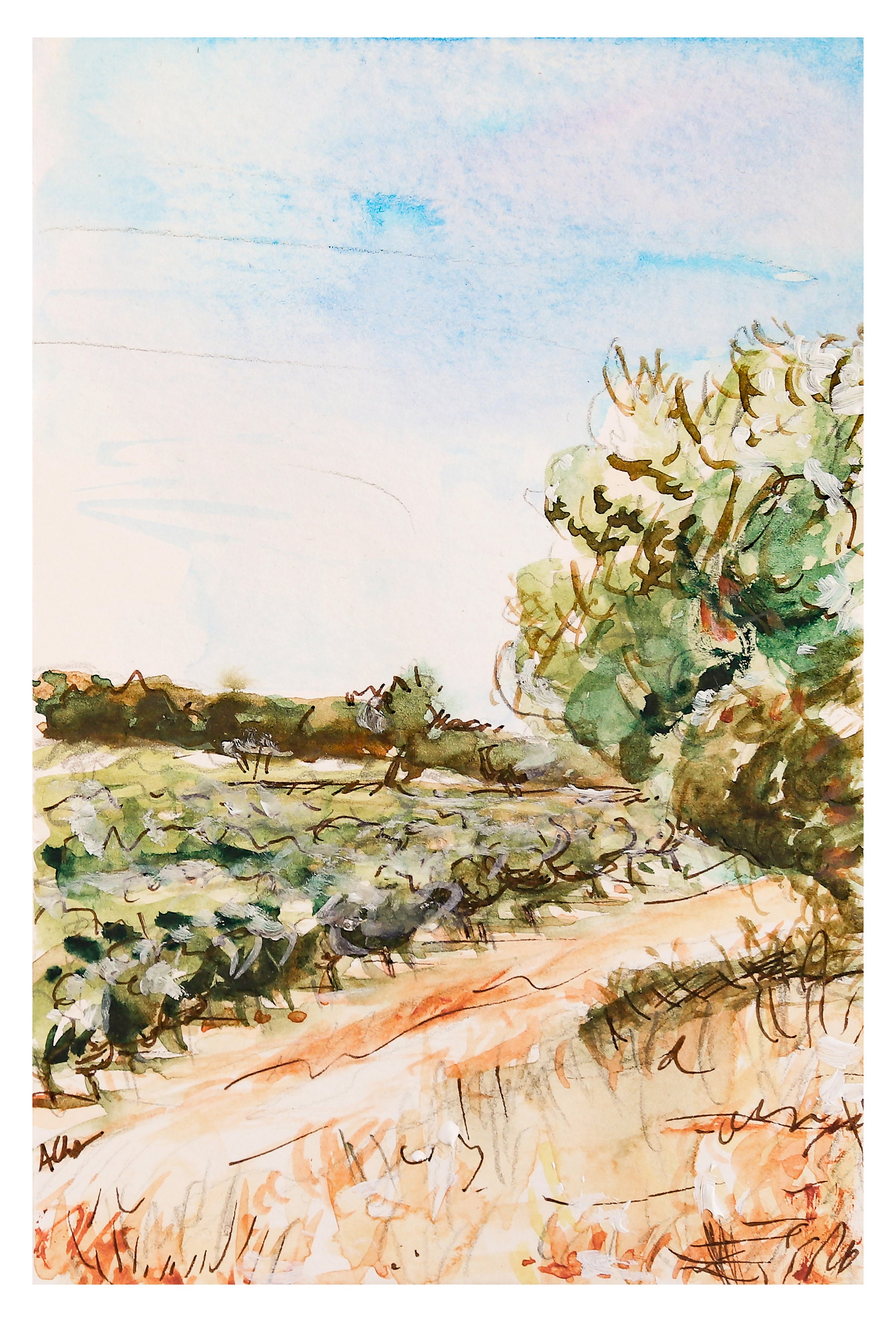 Provence Vineyards of Cassis France, Watercolor Painting Fine Art Print ...