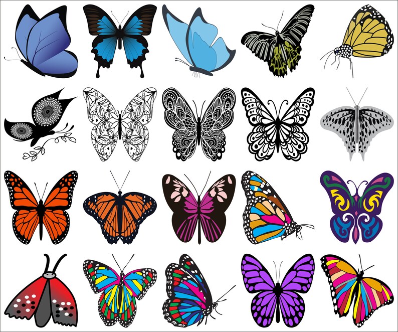 Butterfly Bundle, Butterfly Designs, Butterfly SVG, Printable, Editable ...