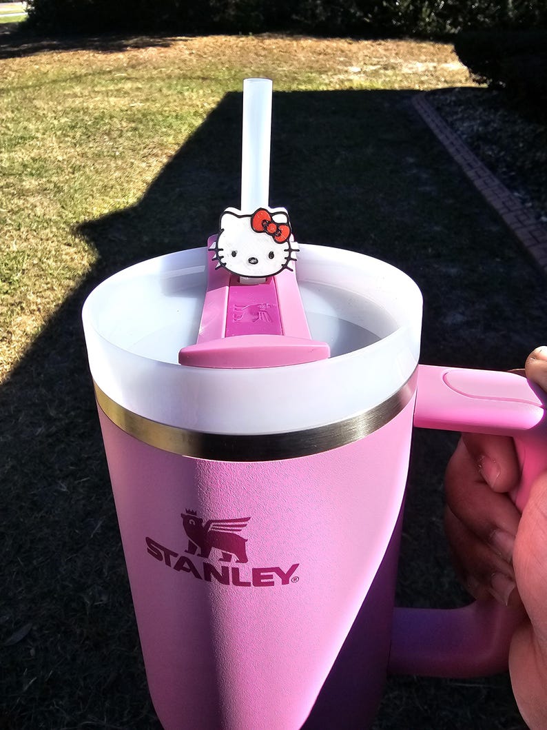 Kitty Stanley Tumbler Straw Topper | Cute Halloween Yeti | Owala ...