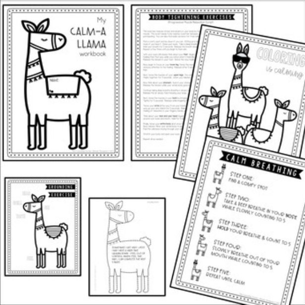 Calming Activities for Kids Self Regulation Station - Etsy