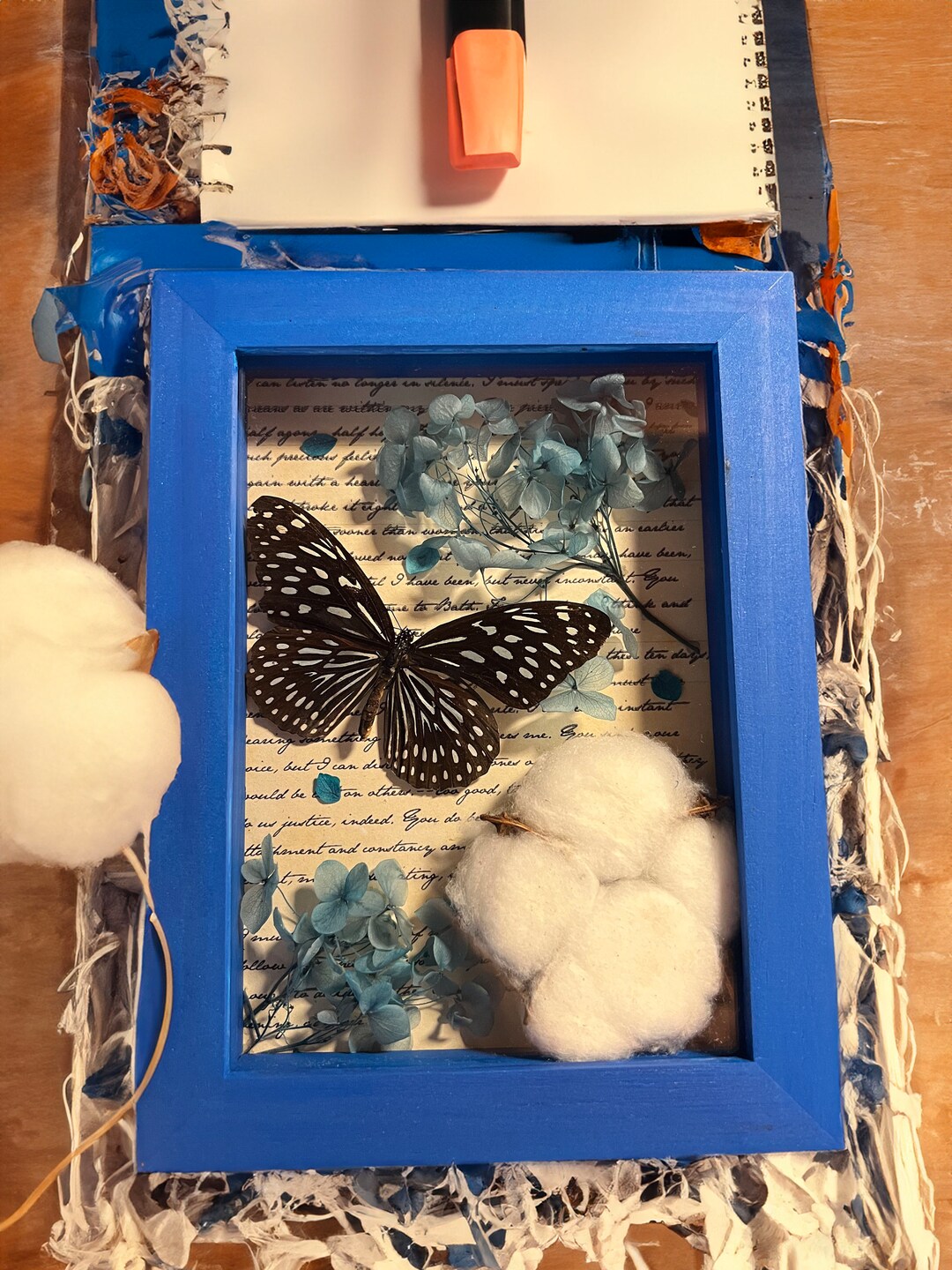 Tirumana Butterfly Butterfly in Frame Real Frame Peacock Butterfly - Etsy