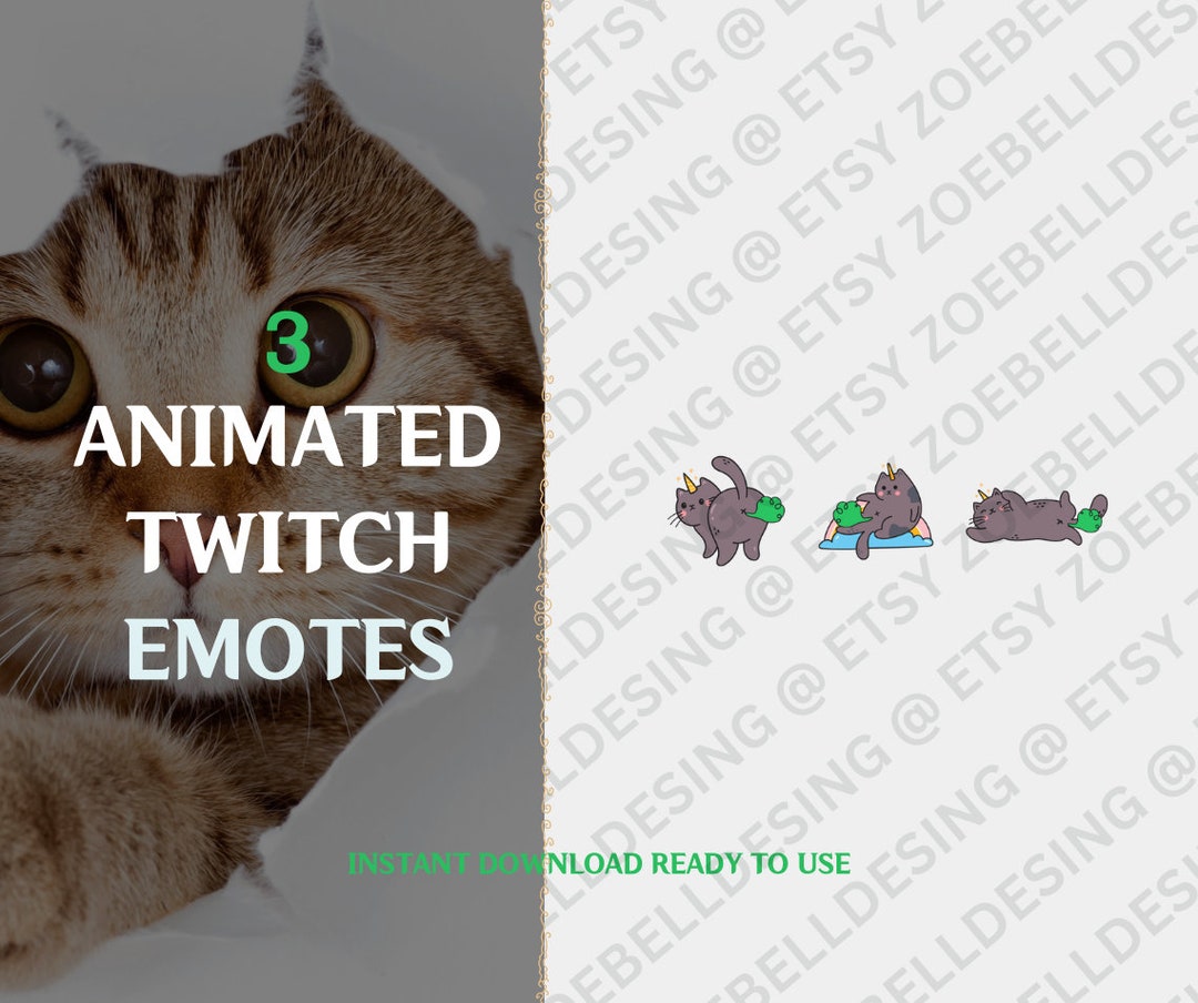 Animated Twitch Emotes Emote Pack Funny Cat Emotes for Live Streaming ...