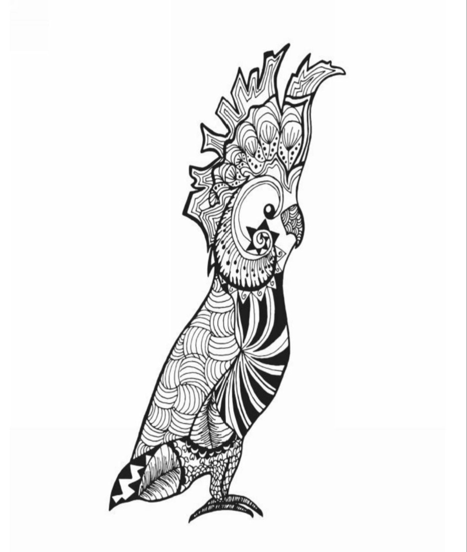 34 Animal Mandala Pictures to Download & Print for - Etsy