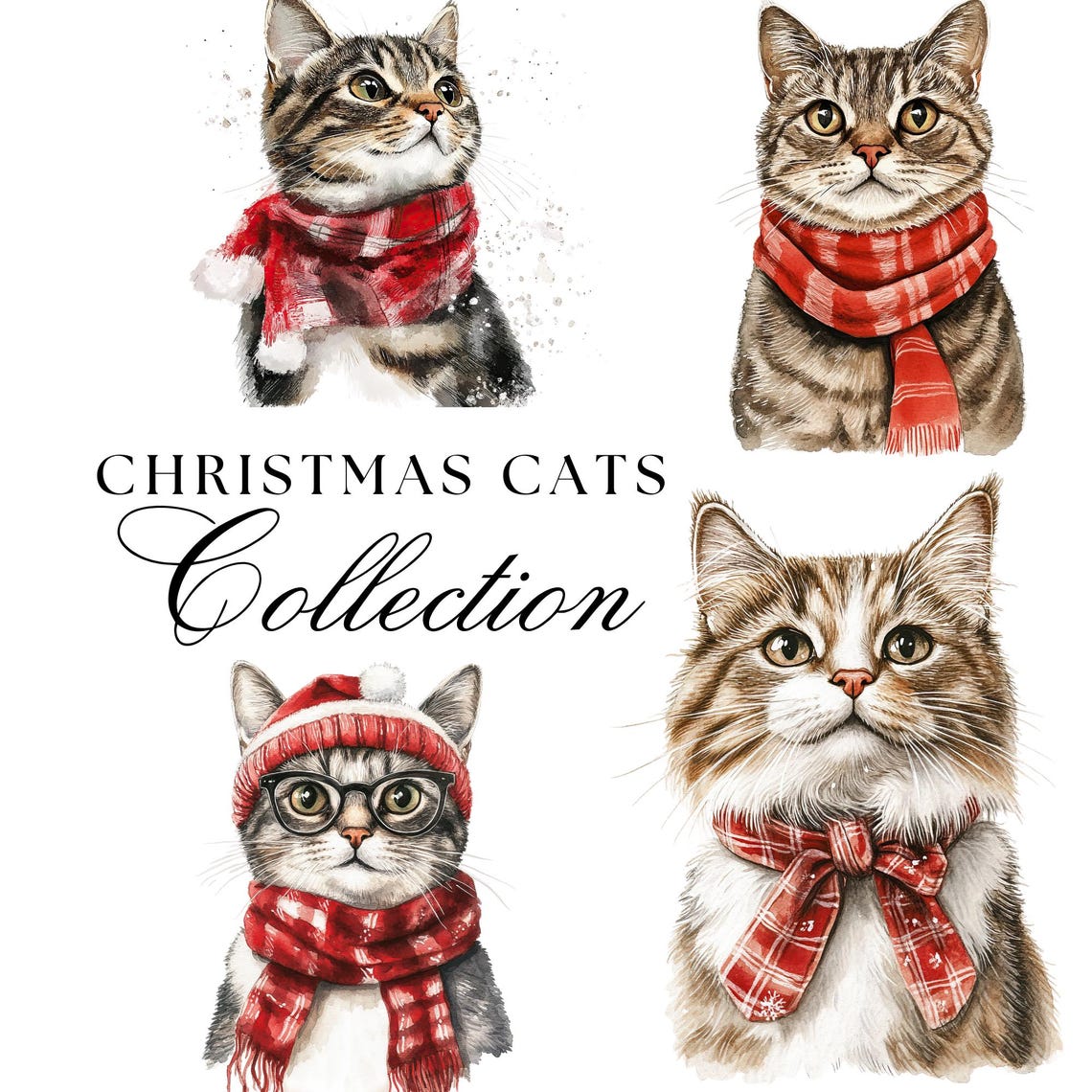 Watercolour Christmas Cat Clipart, Festive Cat Illustrations, Holiday ...