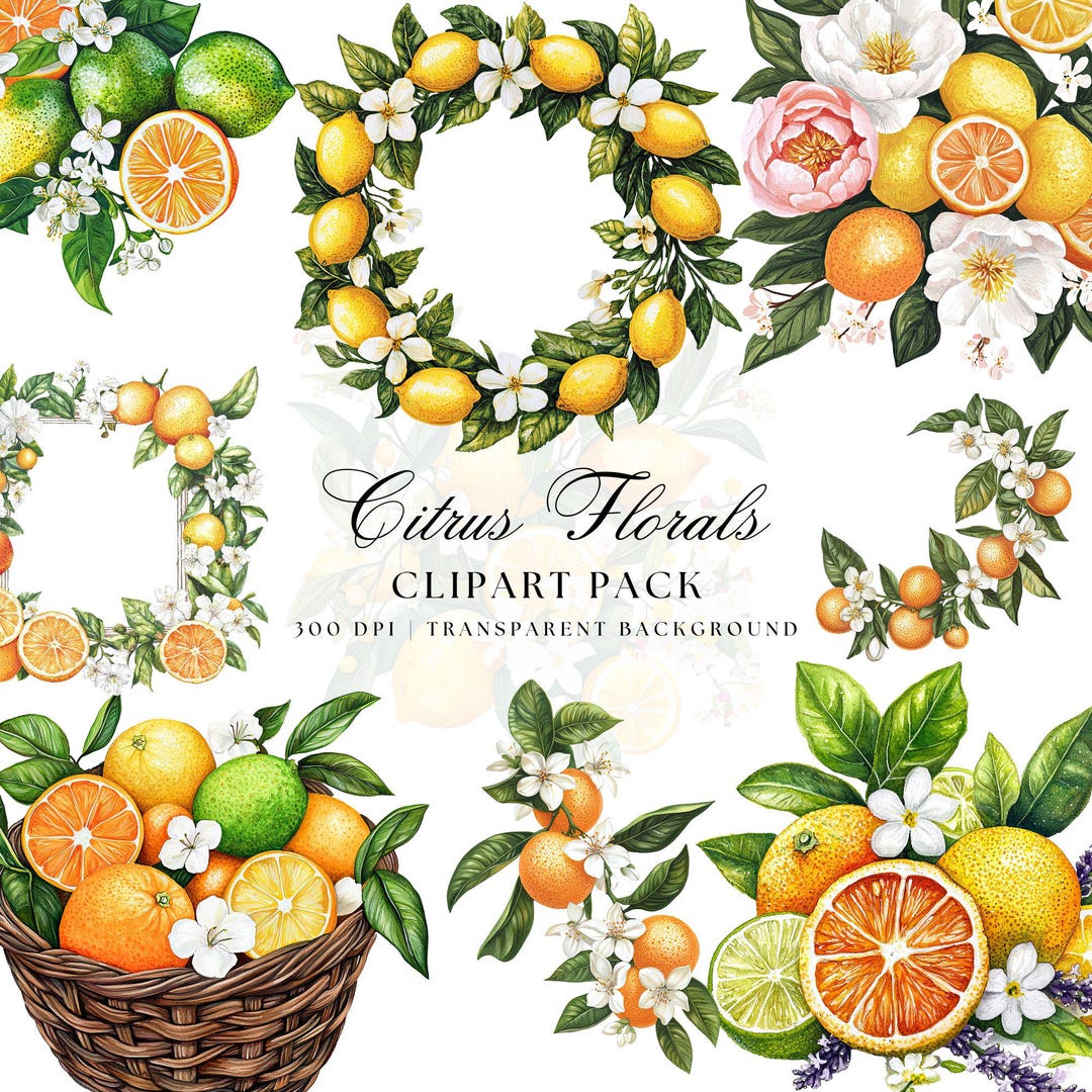 Watercolor Citrus Clipart, Lemon Blossom, Summer Lemons, Lemon Floral ...