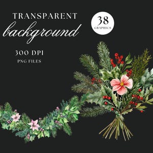 Christmas Floral Clipart Bundle, Pine, Berry (digital Download) - Etsy