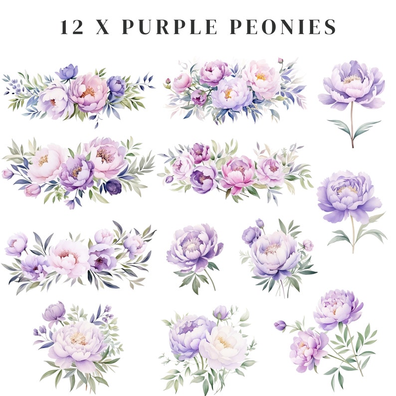Purple Peony Watercolour Clipart Png, Lilac Posy Flowers, Peonies and ...