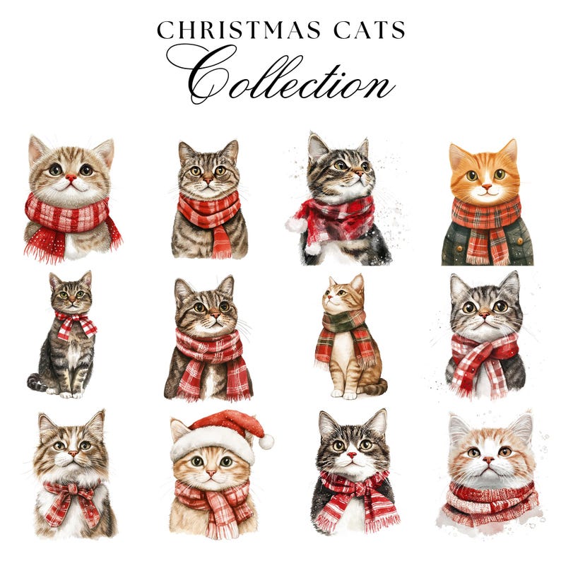 Watercolour Christmas Cat Clipart, Festive Cat Illustrations, Holiday ...