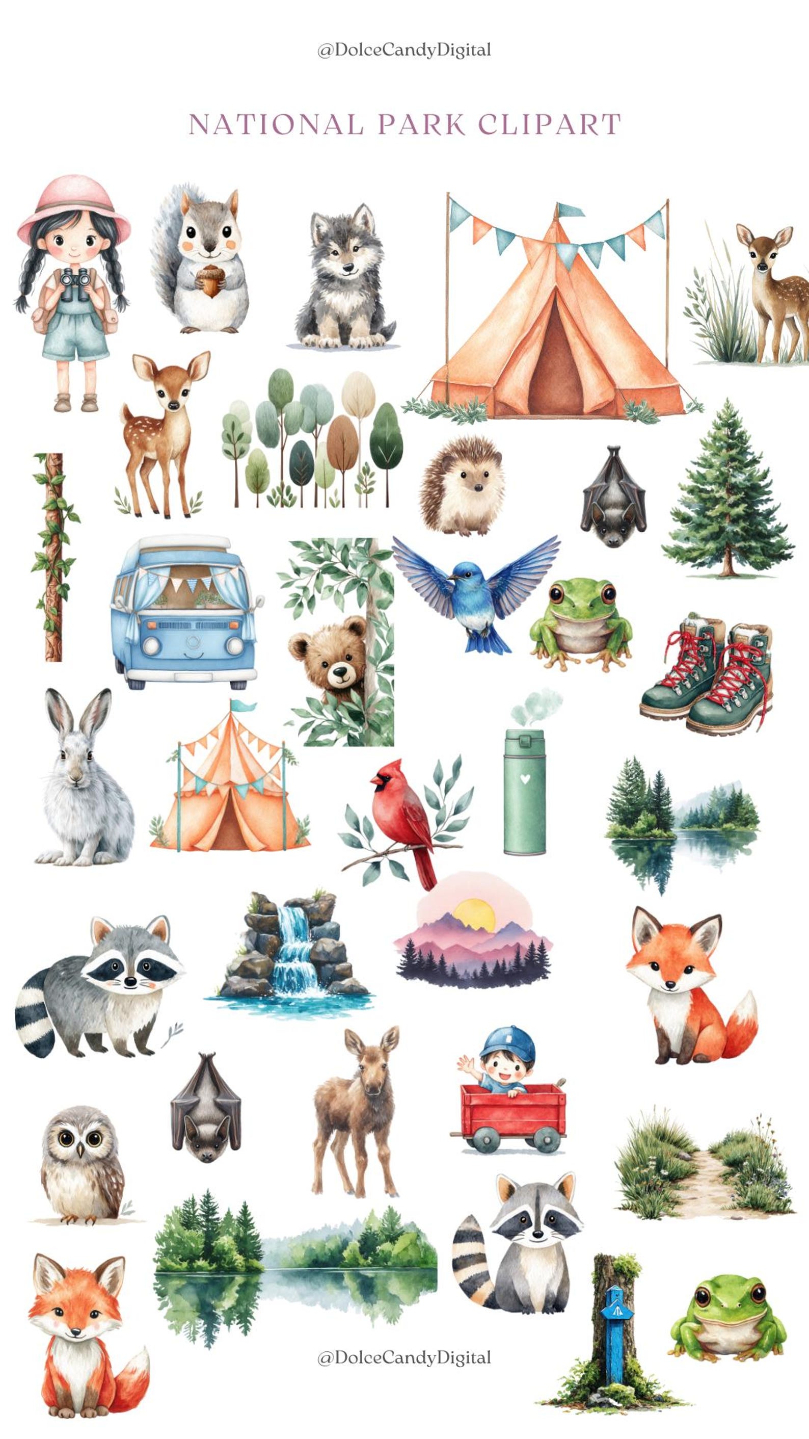 National Park Adventure Clipart Bundle, Cute Forest Animals Nature ...