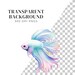 Watercolour Pastel Betta Fish Clipart Park, Commercial Use, Cute Fish ...