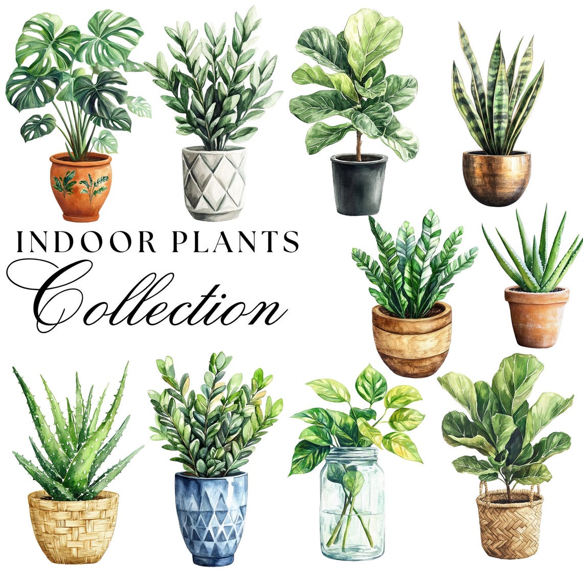 Watercolour Indoor Plants Clip Art, Hanging Plant, Monstera, Botanical ...