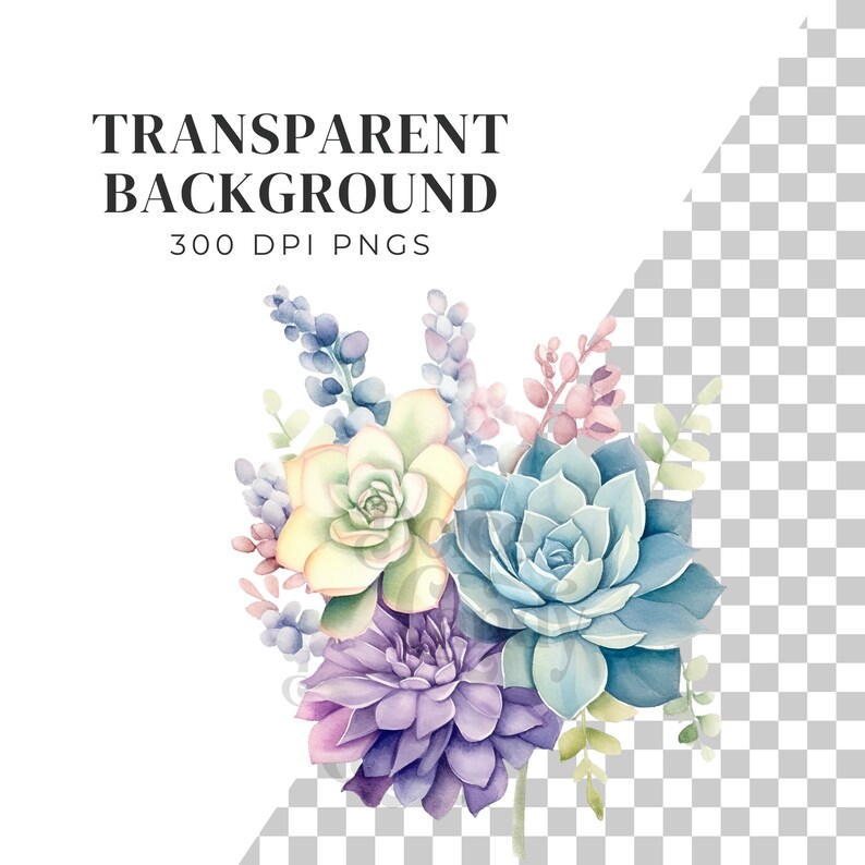 Succulents Watercolour Clipart | Colourful Botanical Cacti, Greenery ...