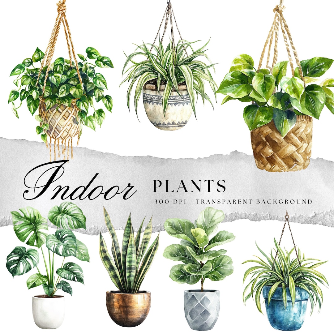 Watercolour Indoor Plants Clip Art, Hanging Plant, Monstera, Botanical ...