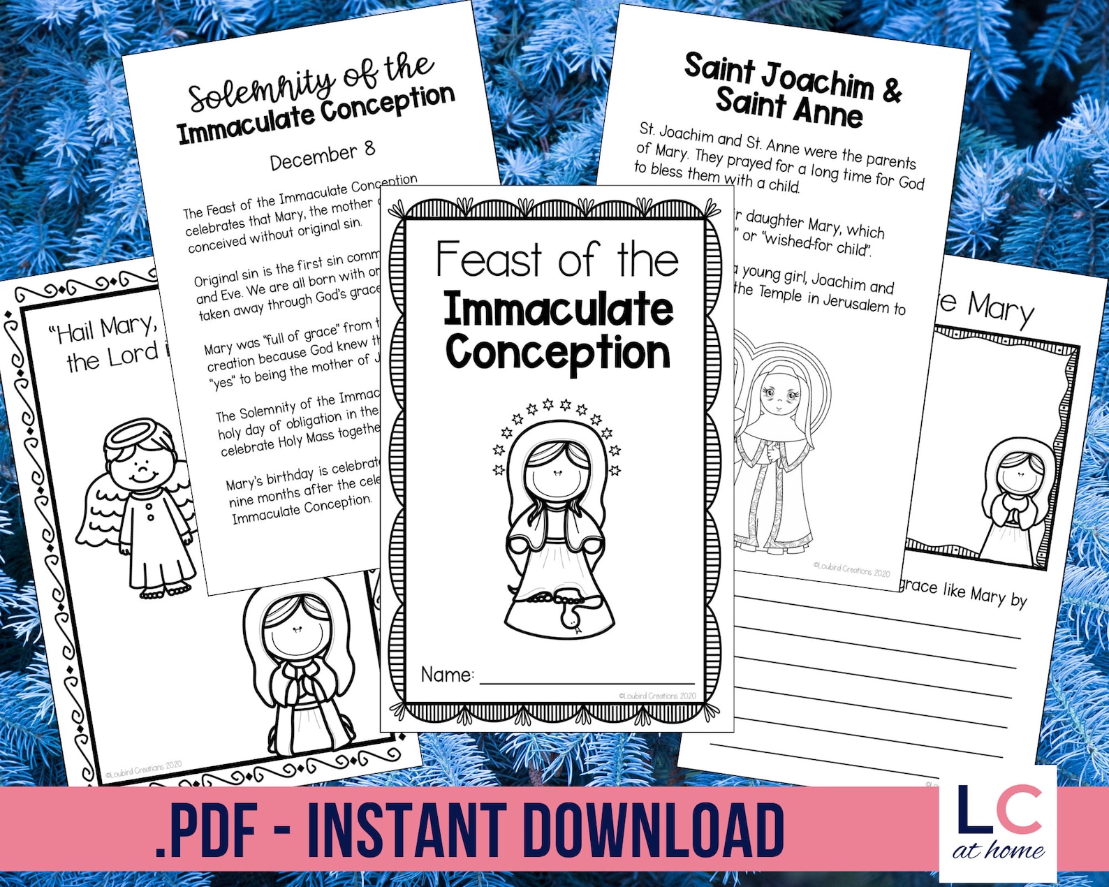 Feast of the Immaculate Conception Printable Activity Booklet for ...