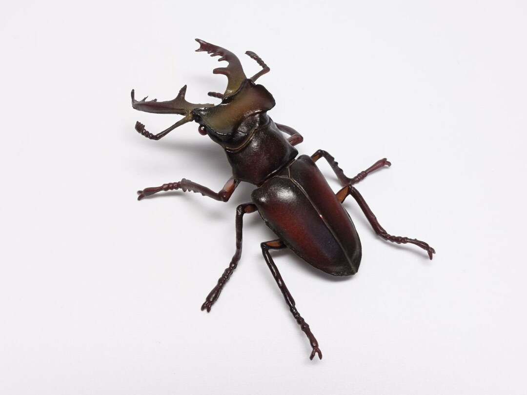 Yujin, Kaiyodo Japanese Insects Gachapon 3 Miyama Stag Beetle - Etsy