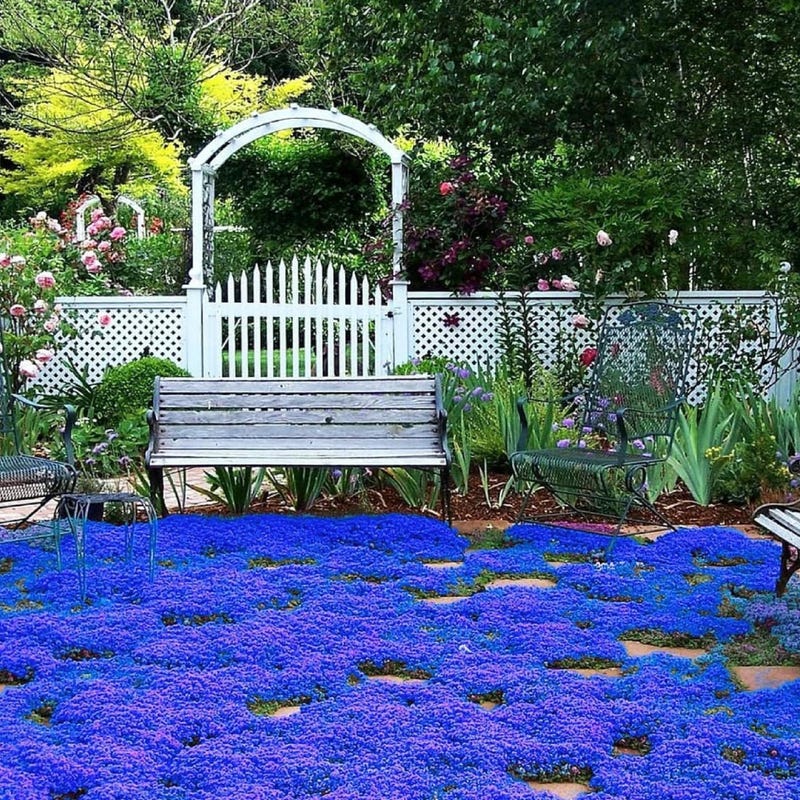 Blue Stones for Garden - Etsy