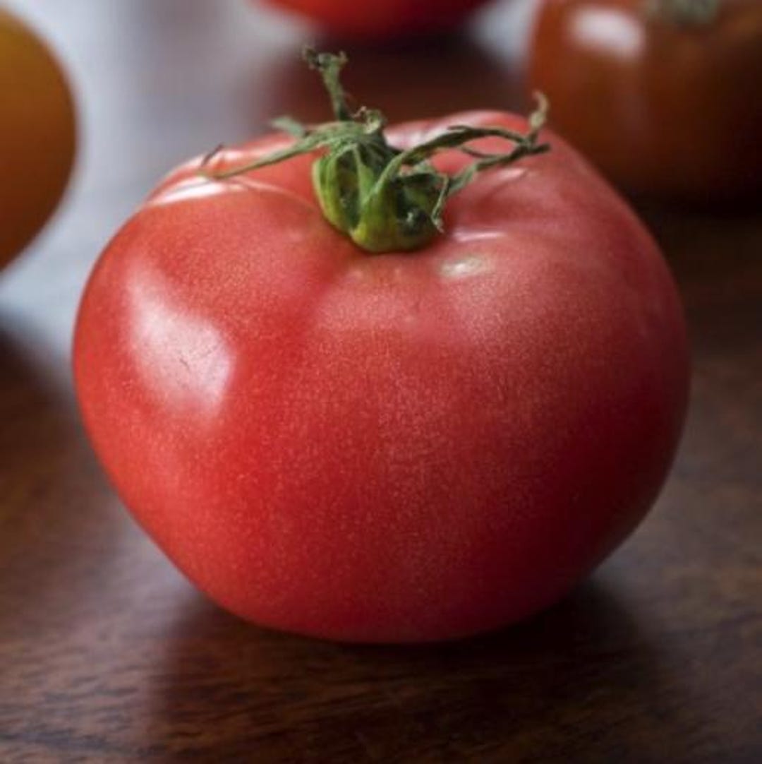 Organic Eva Purple Ball Heirloom Tomato Seeds Non GMO Easy to Grow ...