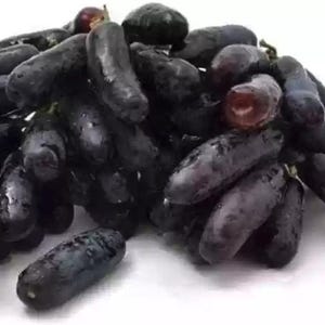 Heirloom Rare Deep Black Purple Finger Grape Seeds - Vitus Vinifera - Non-gmo - Tasty Sweet ...