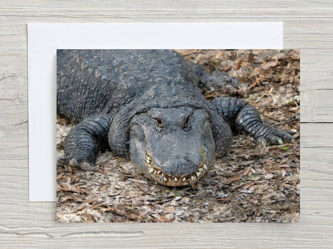 American Alligator, Original Art, 5x7 Note Card With Envelope, Blank ...