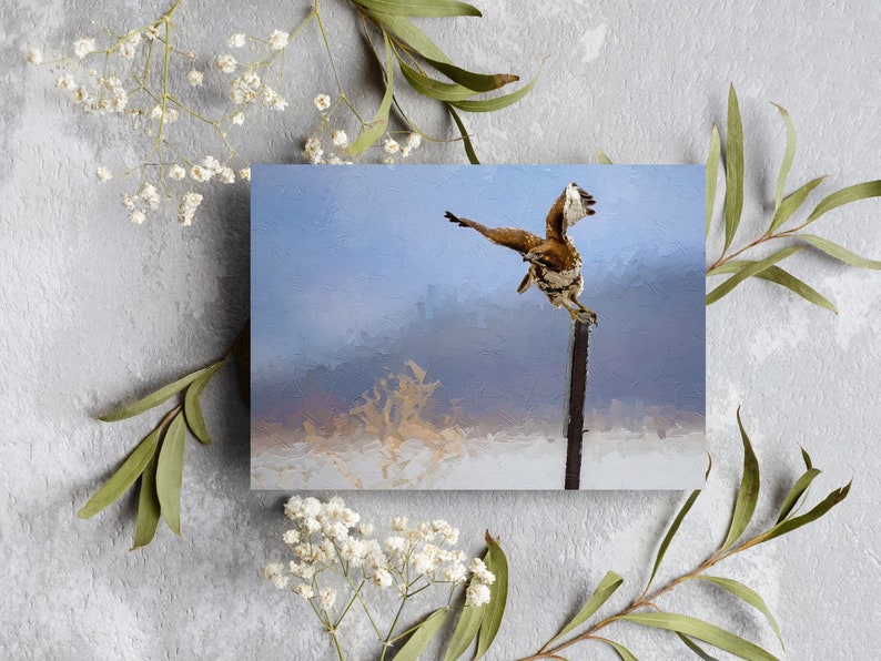 Red-tailed Hawk, Original Art, 5x7 Note Card With Envelope, Blank ...