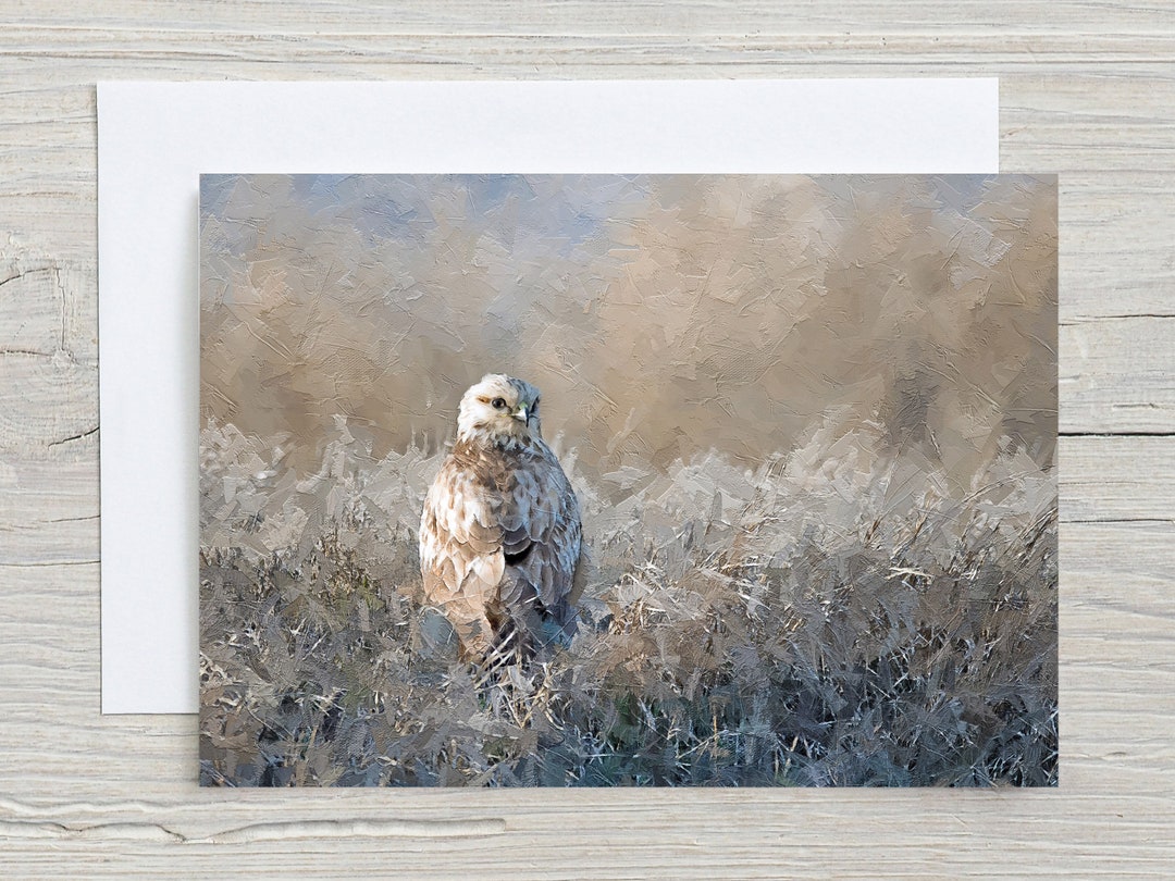 Rough-legged Hawk, Original Art, 5x7 Note Card With Envelope, Blank ...