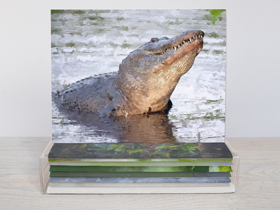 Florida Wildlife Box Set, Original Art, 5x7 Note Cards With Envelopes ...