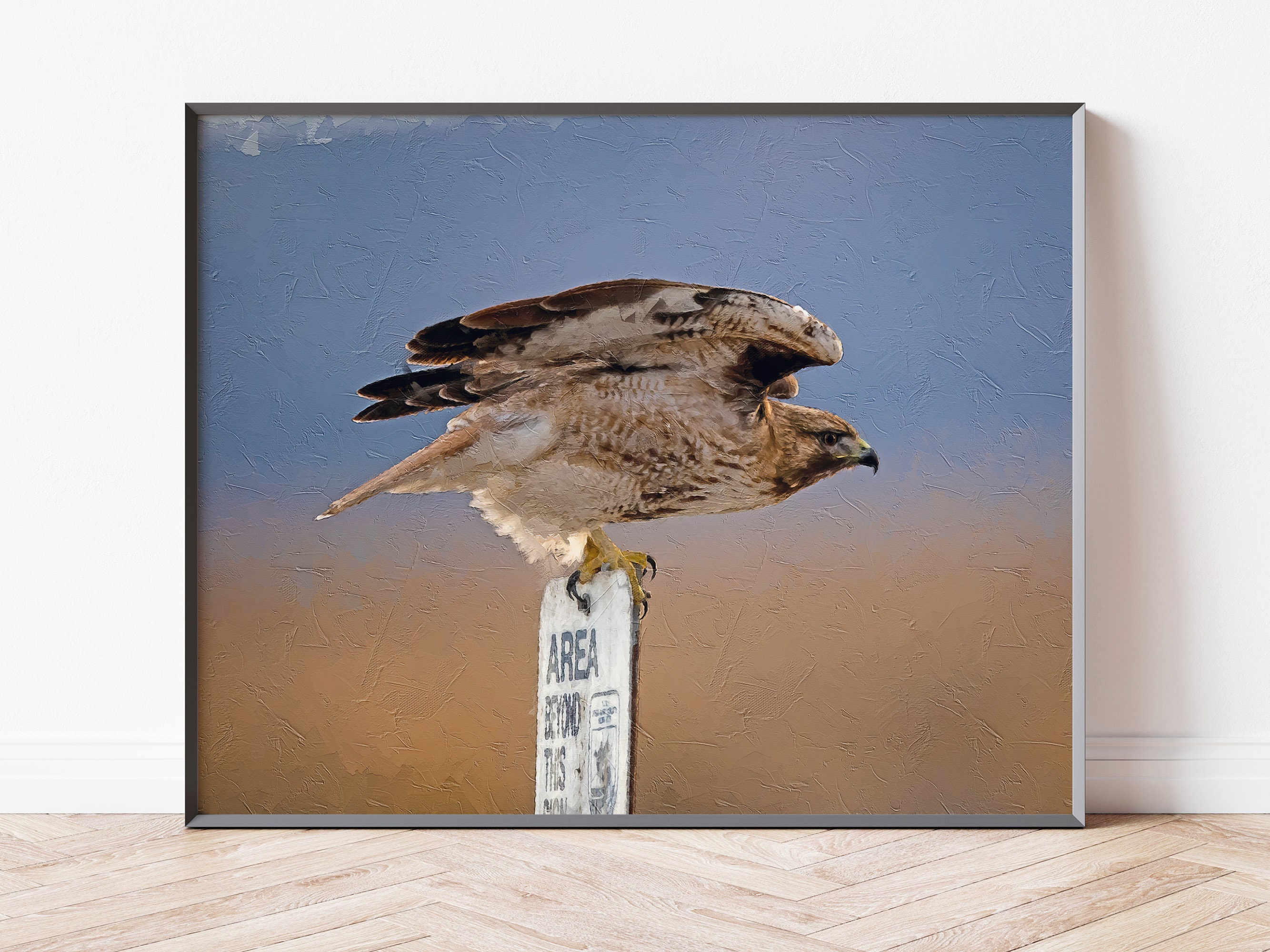 RED TAILED HAWK Fine Art Print, Bird Print, Nature, Birding, Birder ...