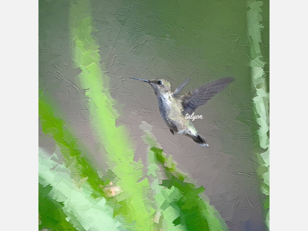RUBY THROATED HUMMINGBIRD, Fine Art Print, Bird Print, Nature, Birding ...