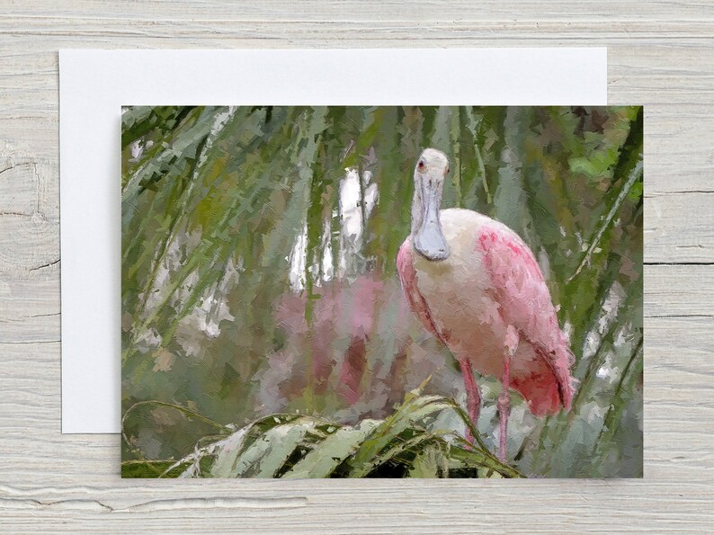 Roseate Spoonbill, Original Art, 5x7 Note Card With Envelope, Blank ...
