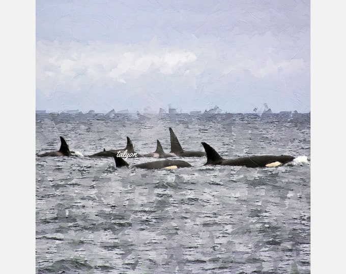 ORCA WHALE POD Fine Art Print, Whale Print, Nature, Ocean, Original Art ...