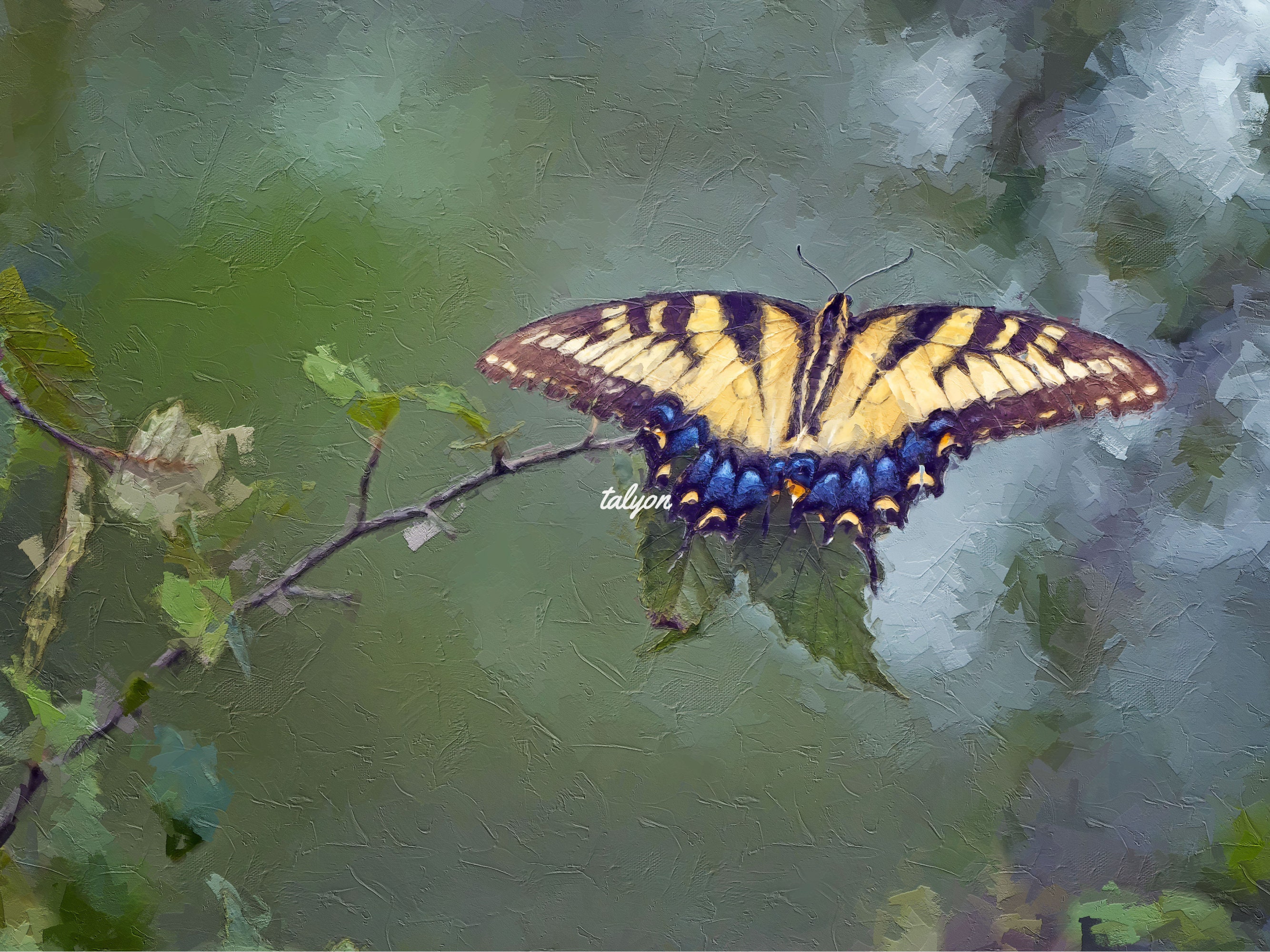 EASTERN TIGER SWALLOWTAIL, Fine Art Print, Butterfly Print, Nature ...