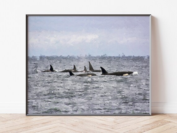ORCA WHALE POD Fine Art Print Whale Print Nature Ocean - Etsy