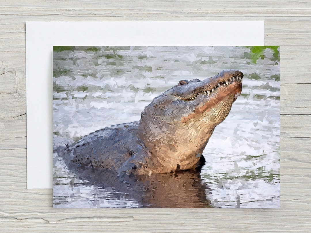 American Alligator, Original Art, 5x7 Note Card With Envelope, Blank ...